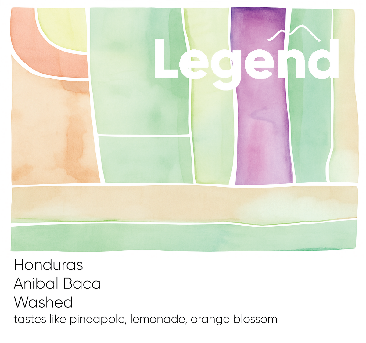 Honduras Anibal Baca - Washed – Legend Coffee and Culture
